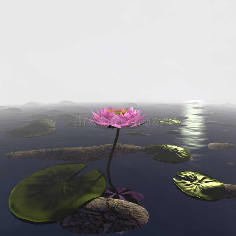 3d lotus. stock illustration. Illustration of abstract - 40971357