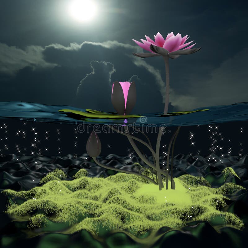 3d lotus. stock illustration. Illustration of flowers - 41068908
