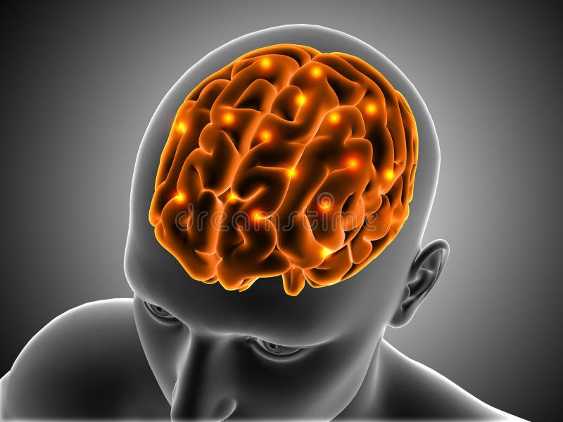 3D Male Figure with Brain Highlighted Stock Illustration - Illustration ...