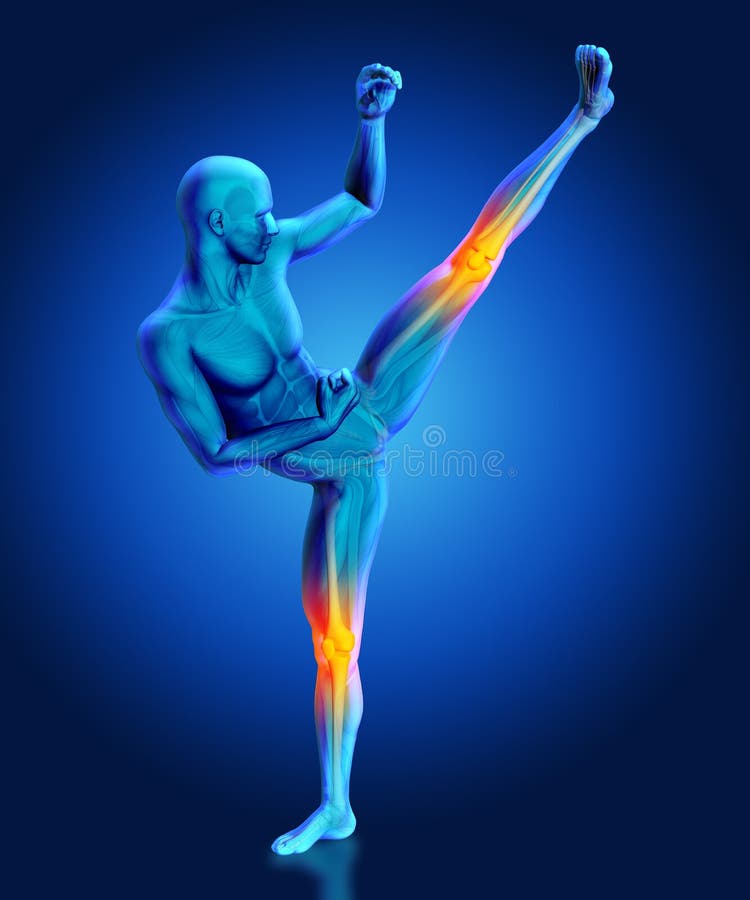 3D Male Figure in Kick Boxing Pose with Partial Skeleton Stock ...