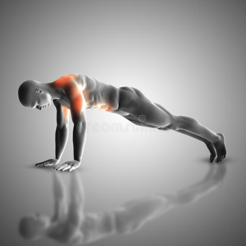 3D Male Figure in Press Up Position Stock Illustration - Illustration ...