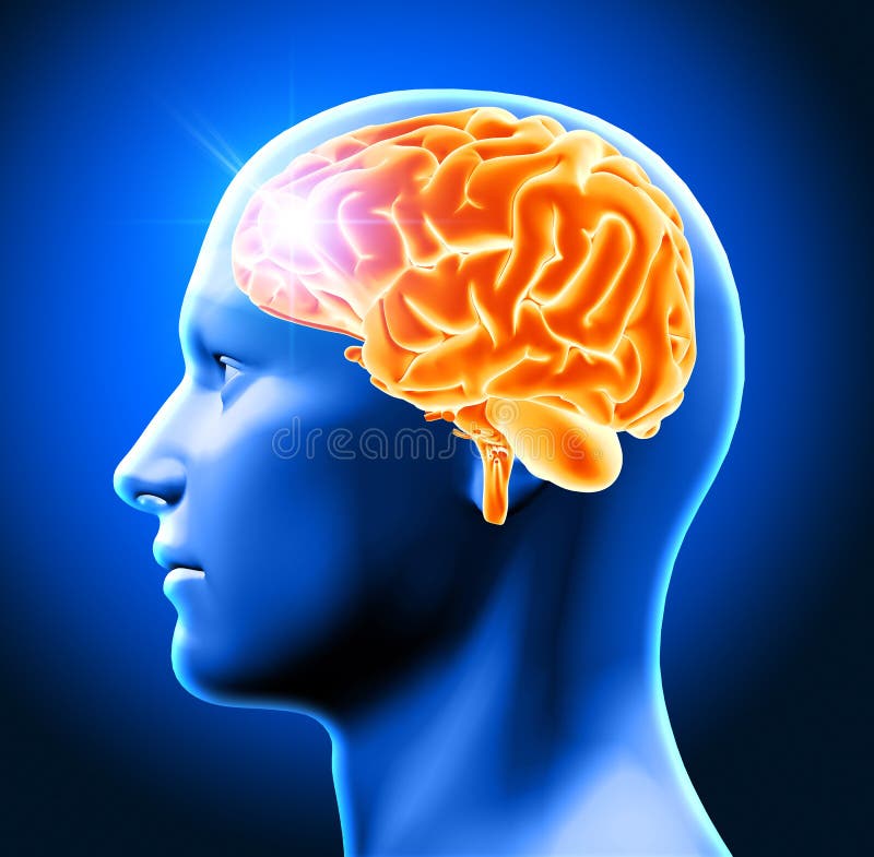 3D Male Head and Brain with Lightening Stock Illustration ...