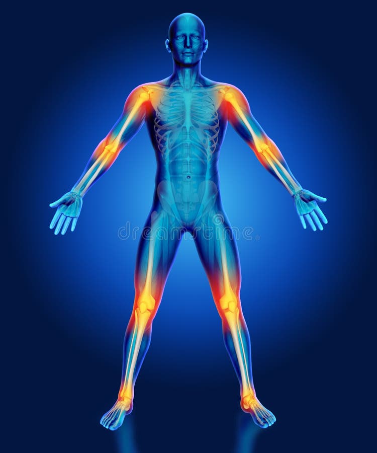 3D Male Medical Figure with Joints Highlighted Stock Illustration ...