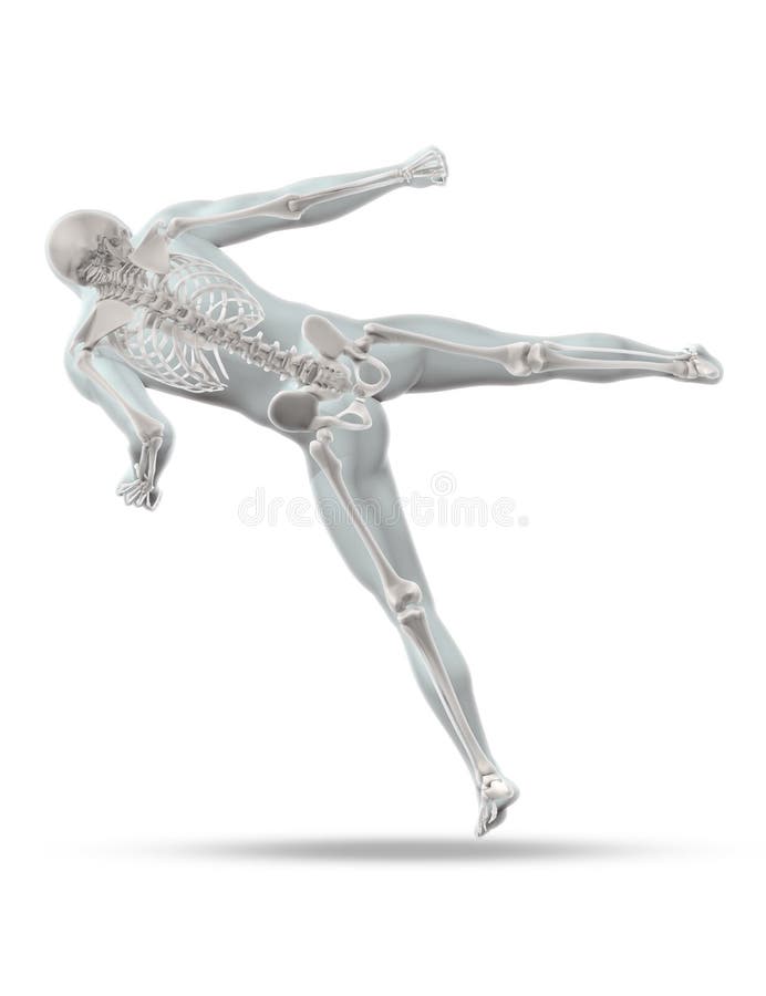 Kick Skeleton Stock Illustrations – 97 Kick Skeleton Stock ...