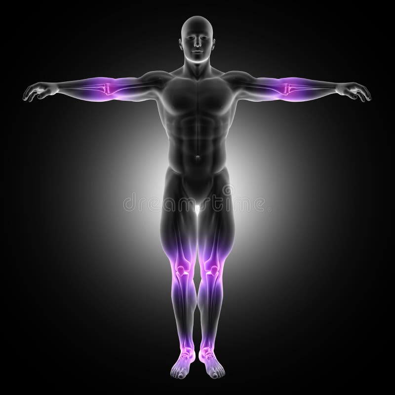 3D Male Medical Figure in Standing Pose with Joints Highlighted Stock ...
