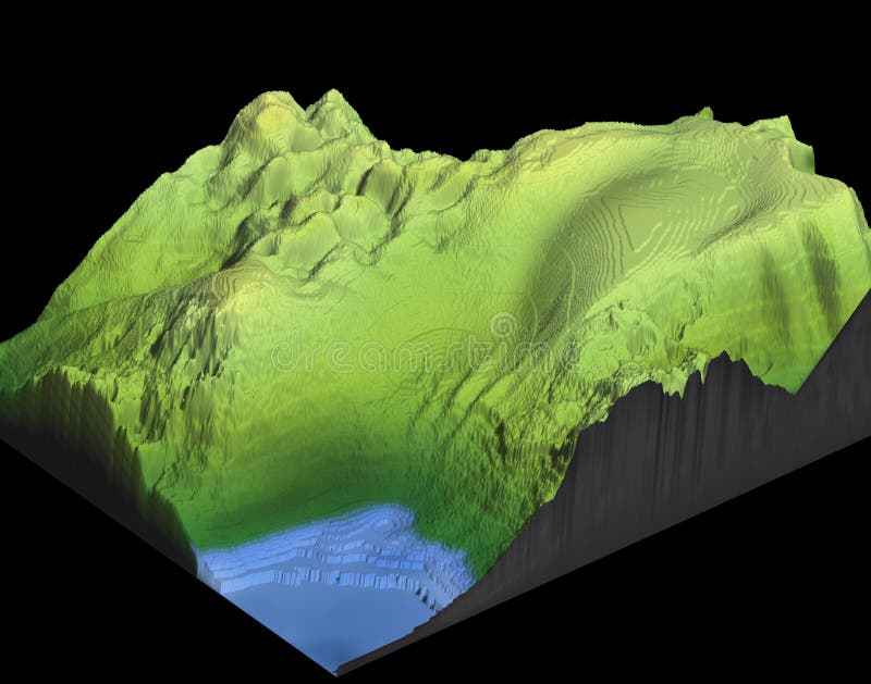 Generic Morphology Stock Illustrations – 8 Generic Morphology Stock ...