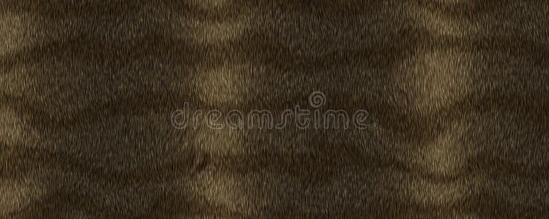 Raccoon Skin Texture Background Stock Illustration - Illustration of ...