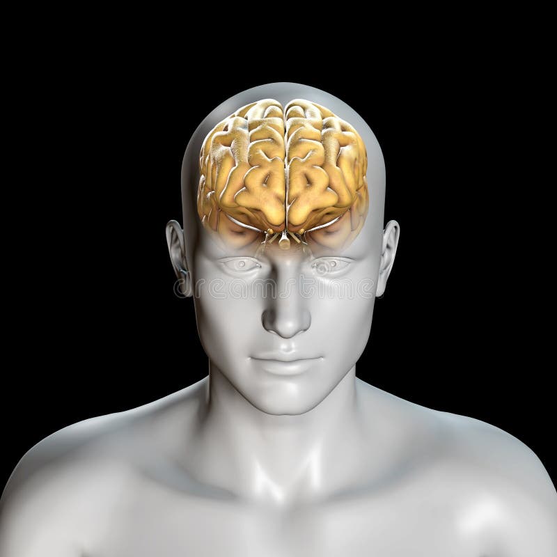 3D Medical Background with Male Figure with Brain Stock Illustration ...