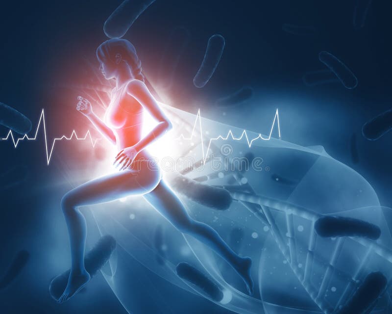 3D Medical Figure with Female Running and Heart Rate Stock Illustration ...