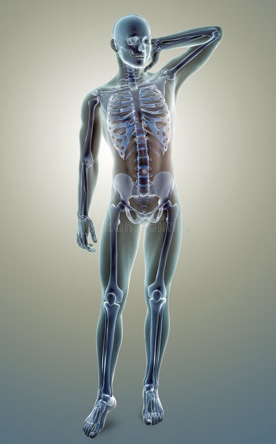 3d Medical Figure Standing and Holding His Neck Stock Illustration ...