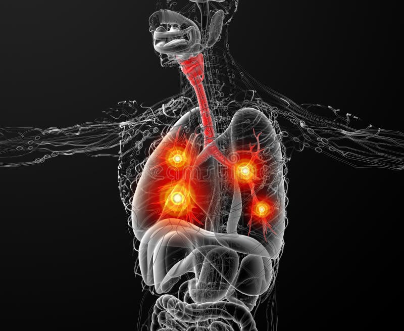 3D rendering of bronchi stock illustration. Illustration of rendering ...