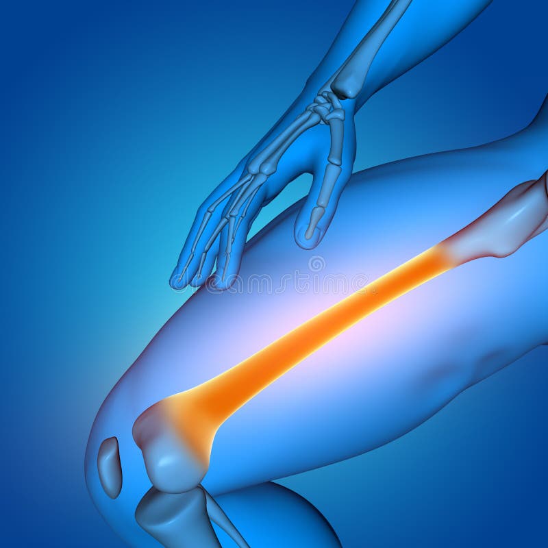 3D Medical Male Figure with Close Up of Thigh Bone Stock Illustration ...