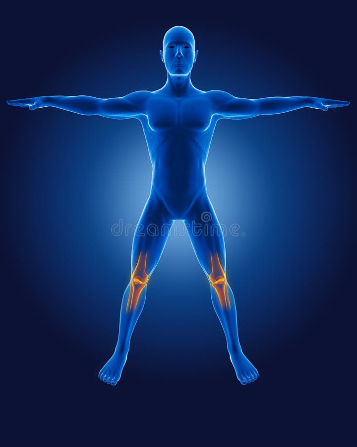 3D Medical Man with Skeleton Stock Illustration - Illustration of ...