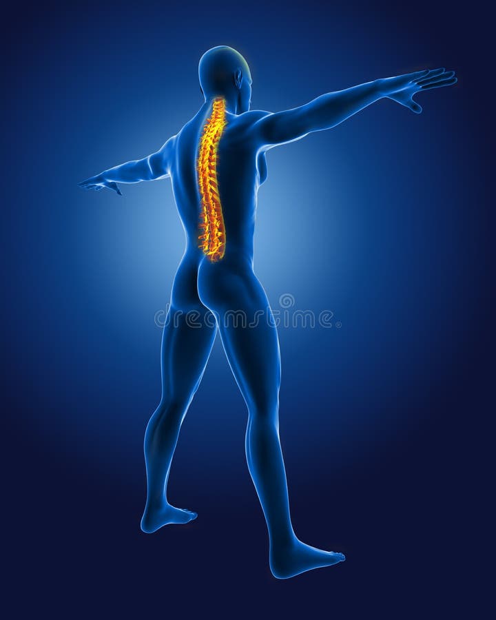 3D Medical Man with Skeleton Stock Illustration - Illustration of ...