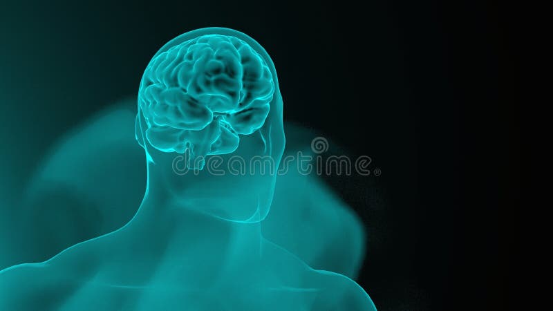 Transparent Human Figure with Glowing Brain on Dark Background with ...