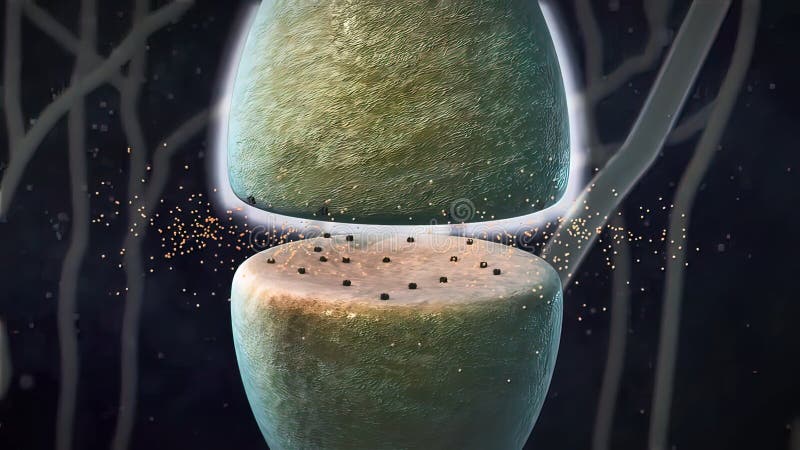 3d Medizinische Animation Der Synapsen Des Nervensystems Stock ...