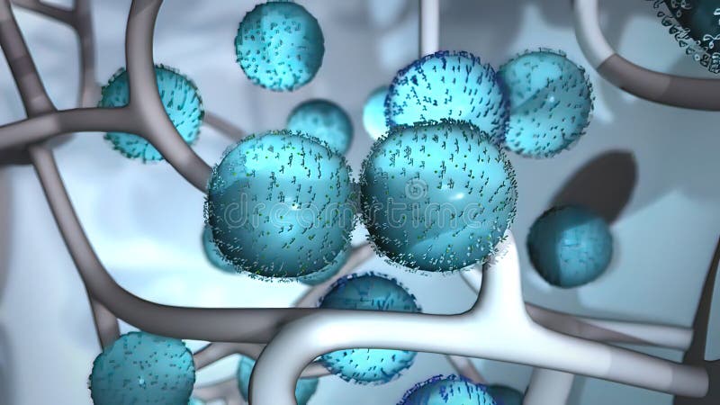 Proliferation Cell Stock Illustrations – 257 Proliferation Cell Stock ...