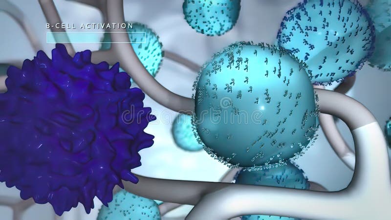3D Microbiology of Cell Proliferation Stock Illustration - Illustration ...