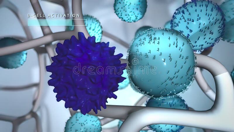 Proliferation Cell Stock Illustrations – 257 Proliferation Cell Stock ...