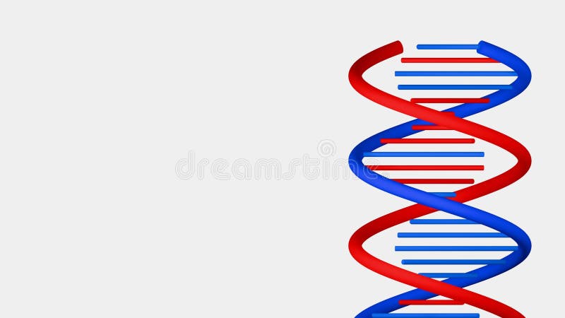 A 3D Model Animation of a DNA Double Helix in Red and Blue. Simple ...