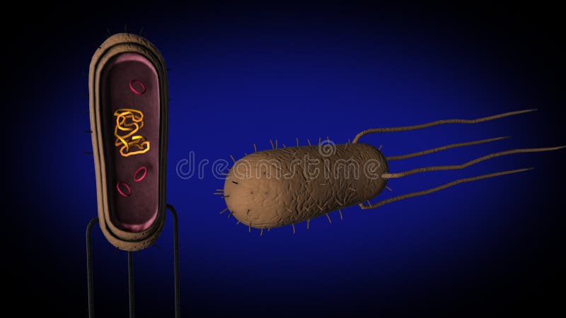 Escherichia Coli Icon Animation Stock Video - Video of germ, fever ...