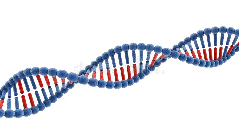 Alternating Parts Stock Illustrations – 79 Alternating Parts Stock ...