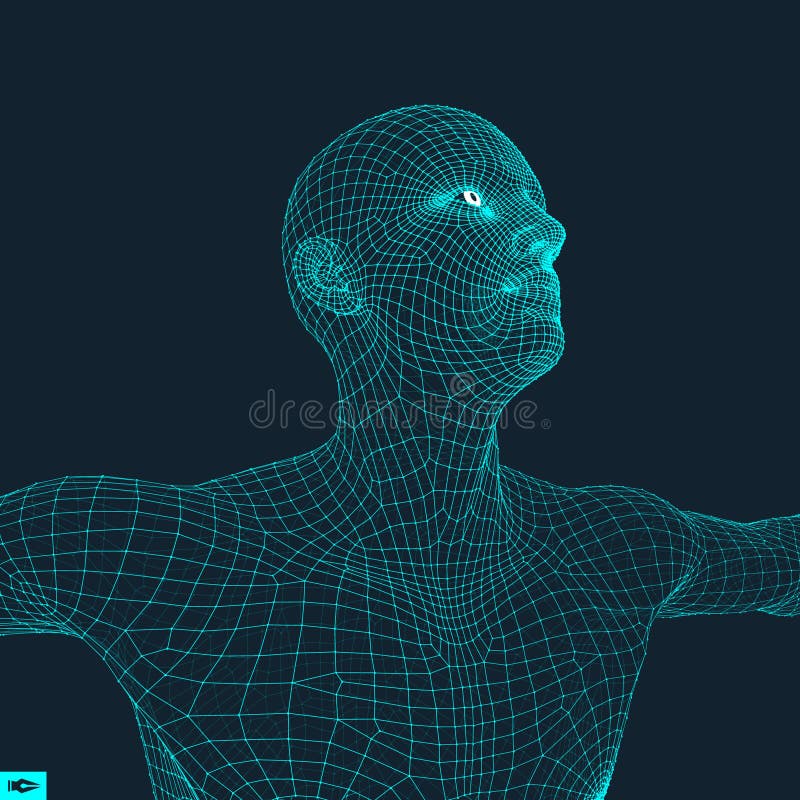 3D Model of Man. Human Body Wire Model. Design Element Stock Vector ...