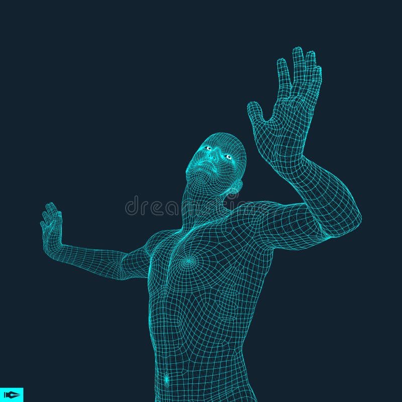 3D Model of Man. Human Body Wire Model. Design Element Stock Vector ...