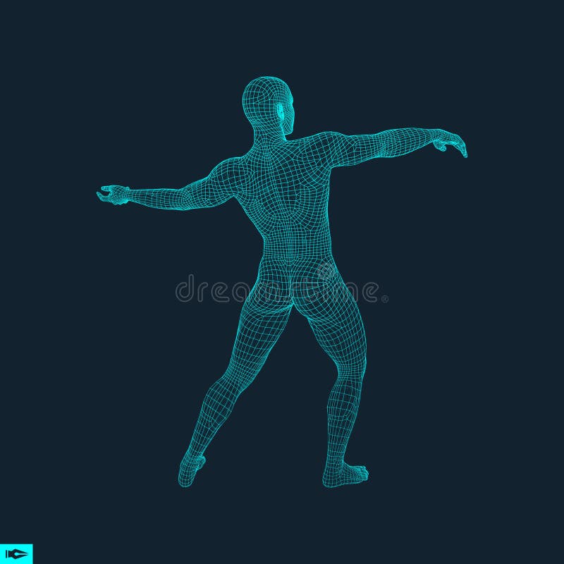 3D Model of Man. Human Body Wire Model. Design Element Stock Vector ...