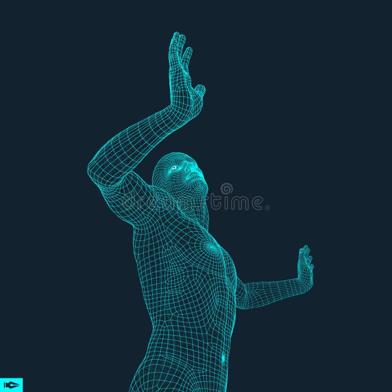 3D Model of Man. Human Body Wire Model. Design Element Stock Vector ...