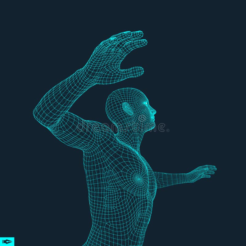 3D Model of Man. Human Body Wire Model. Design Element Stock Vector ...