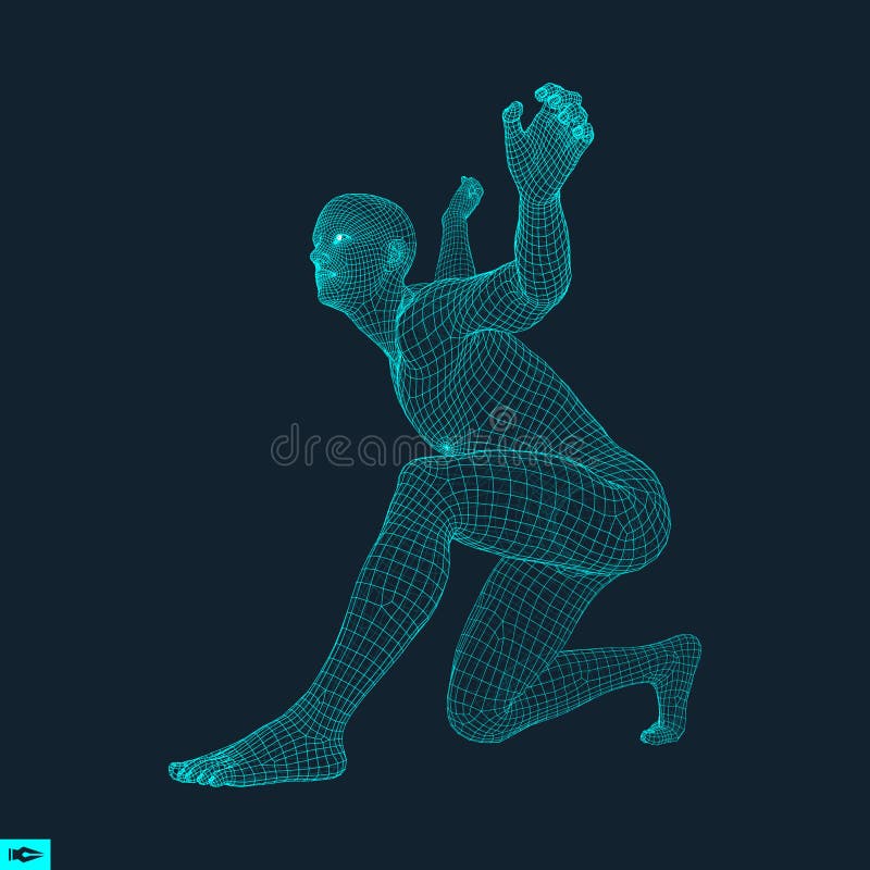 3D Model of Man. Human Body Wire Model. Design Element Stock Vector ...