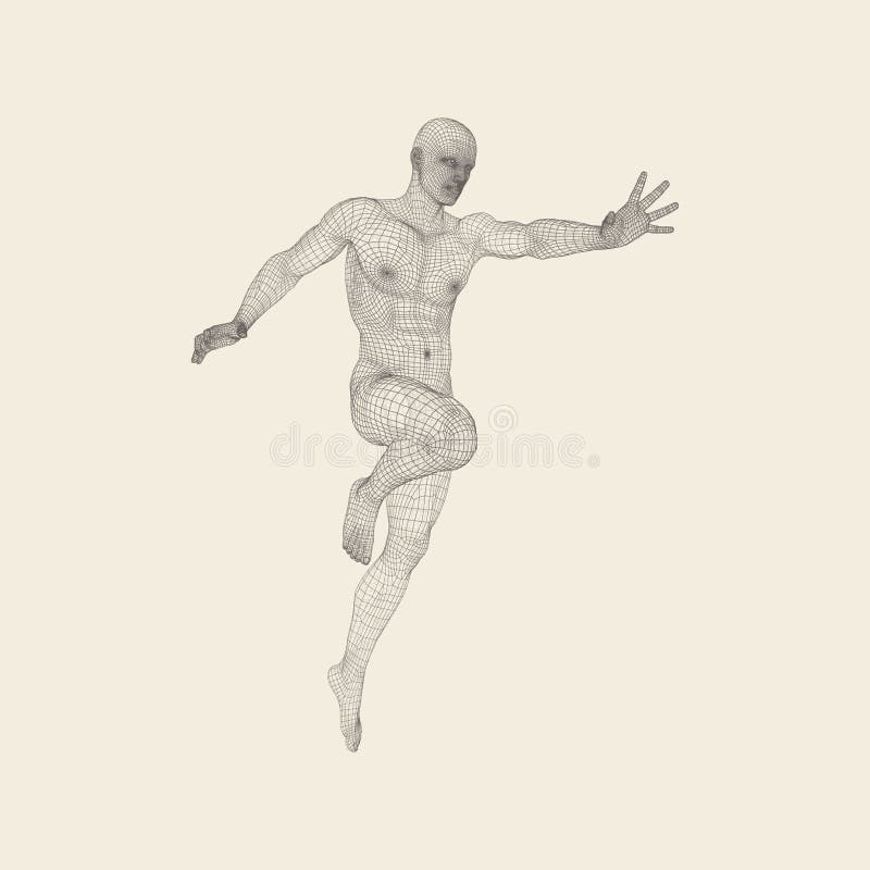 3D Model of Man. Human Body Wire Model. Design Element Stock Vector ...