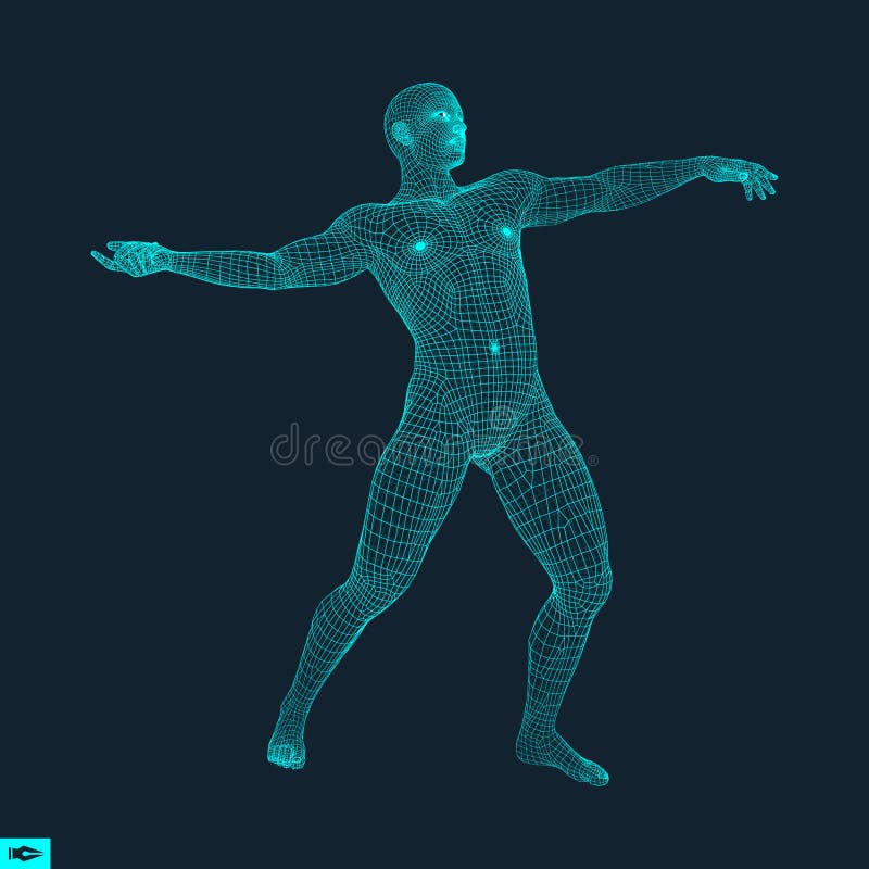 3D Model of Man. Human Body Wire Model. Design Element Stock Vector ...