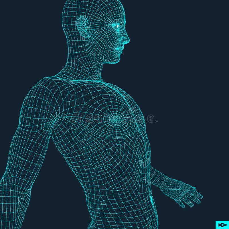 3D Model of Man. Human Body Wire Model. Design Element Stock Vector ...