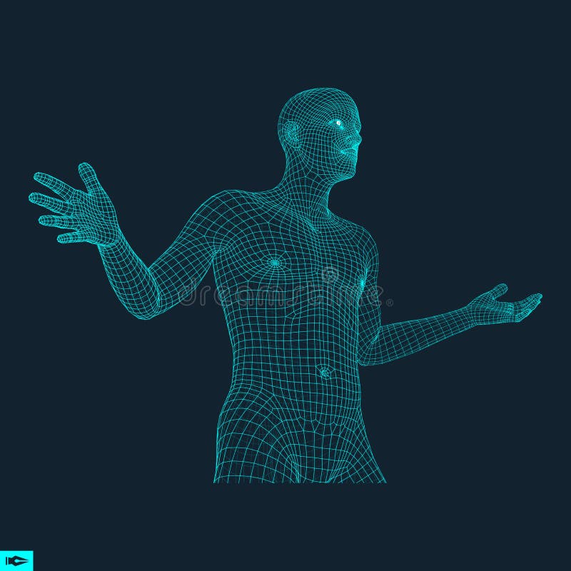 3D Model of Man. Human Body Wire Model. Design Element Stock Vector ...