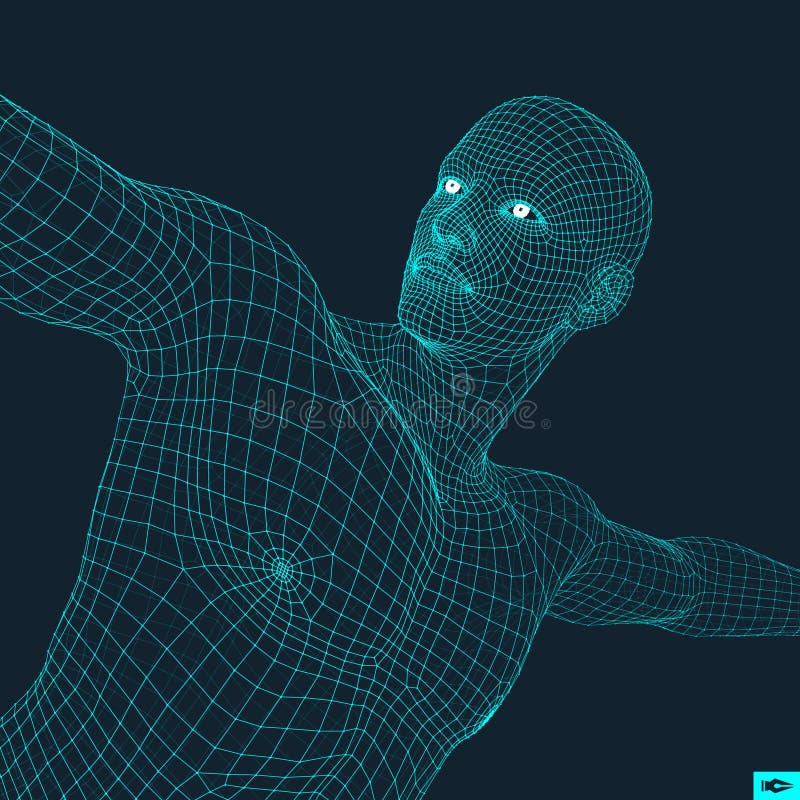 3D Model of Man. Human Body Wire Model. Design Element Stock Vector ...