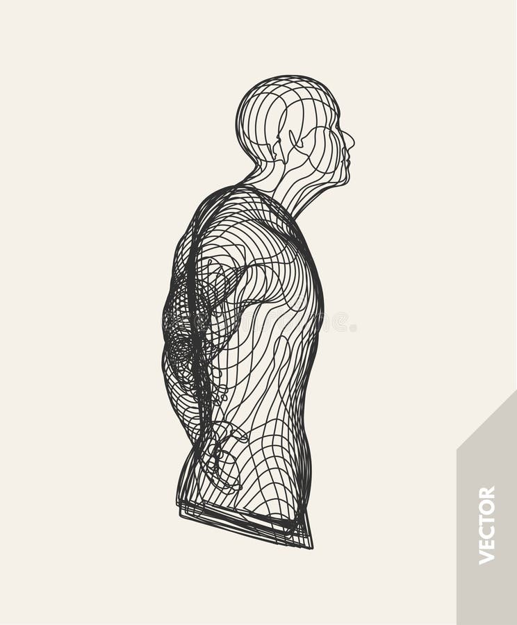 3d Model of Man. Vector Illustration. Wire Connection Structure. To ...