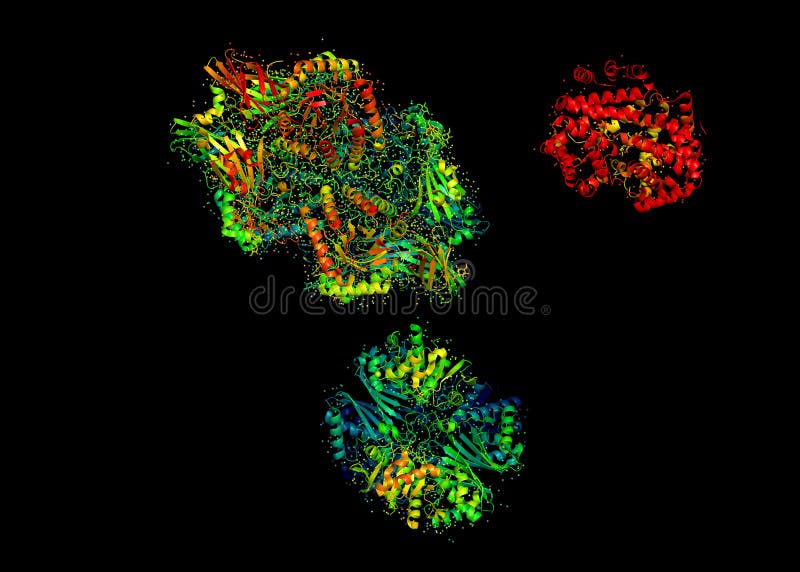 3D Model of a Protein Molecule Stock Illustration - Illustration of ...