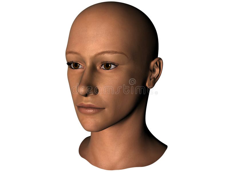 3D model of woman head stock illustration. Illustration of serious ...