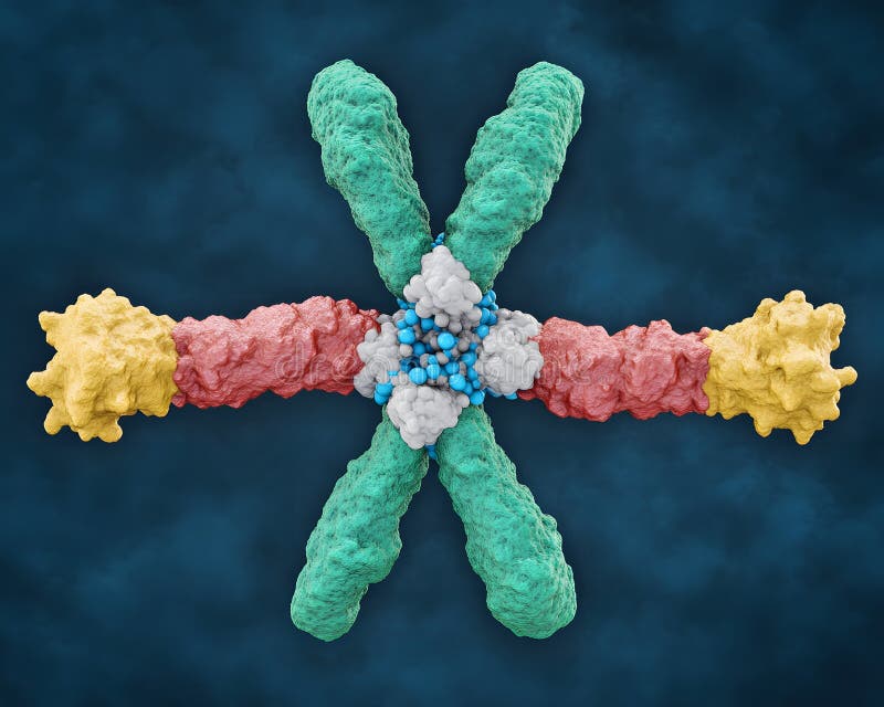 Protein Complex Render Stock Illustrations – 633 Protein Complex Render ...