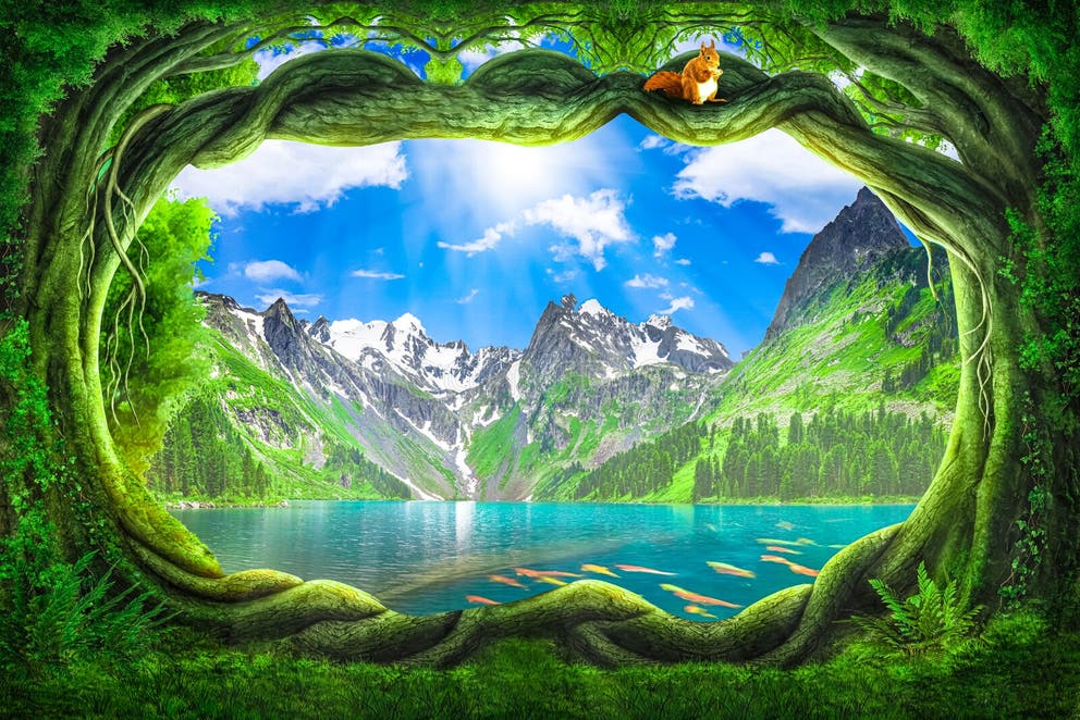 3d Mountains View in the Forest with Green Tree Frames Stock ...