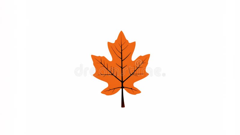 2d Orange Maple Leaf Isolated on a White Screen Stock Footage - Video ...