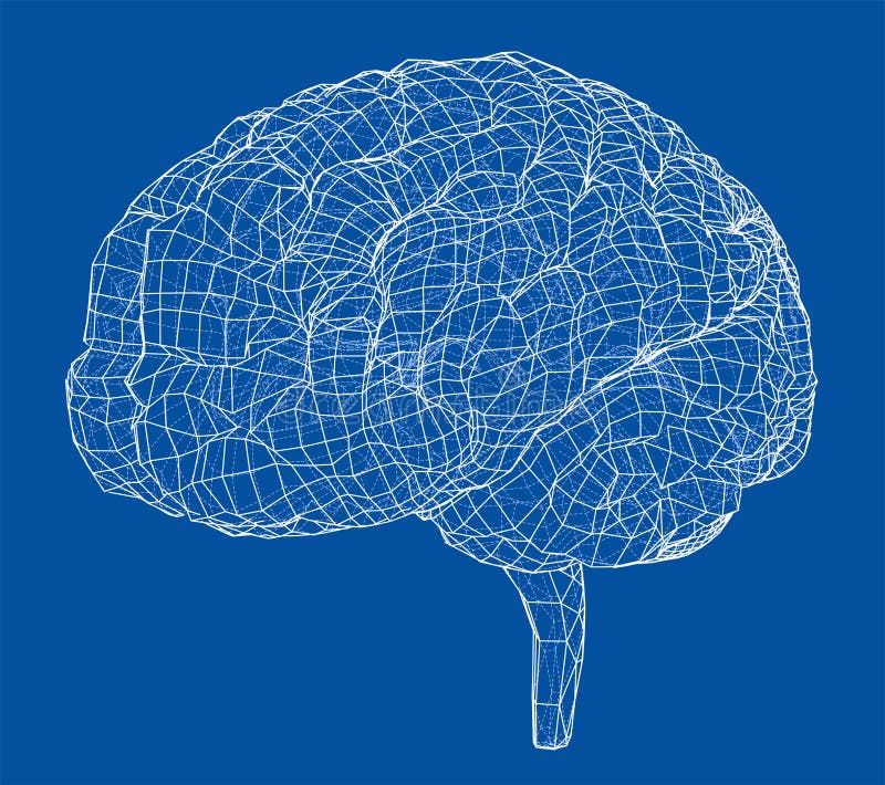 3D outline brain stock illustration. Illustration of idea - 133127271