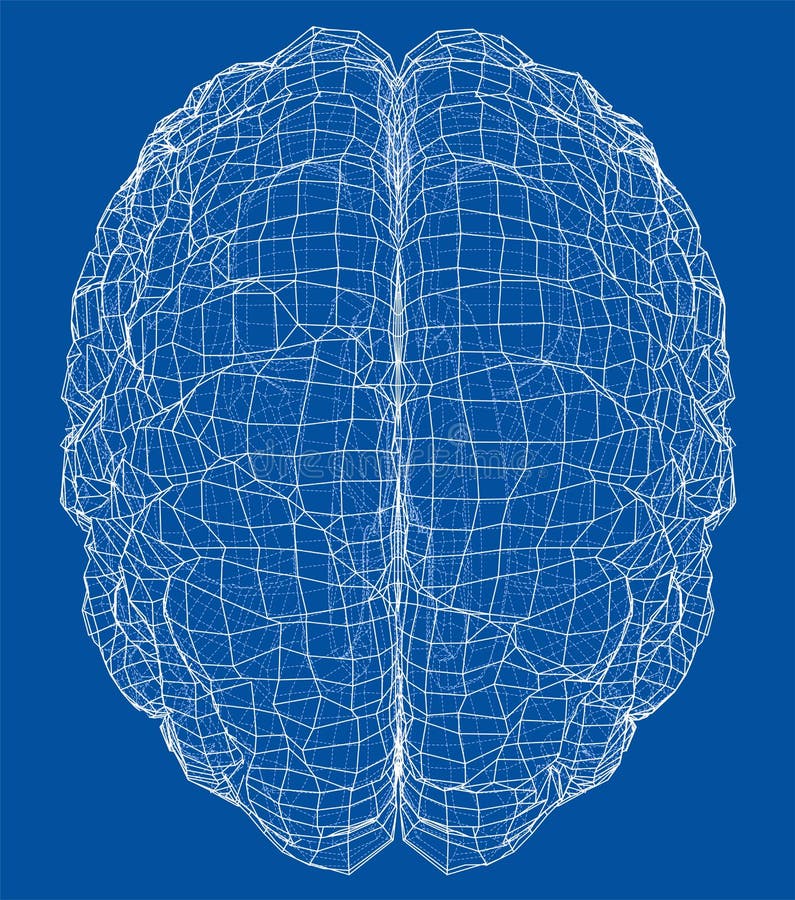 3D Outline Brain. Vector Rendering of 3d Stock Vector - Illustration of ...