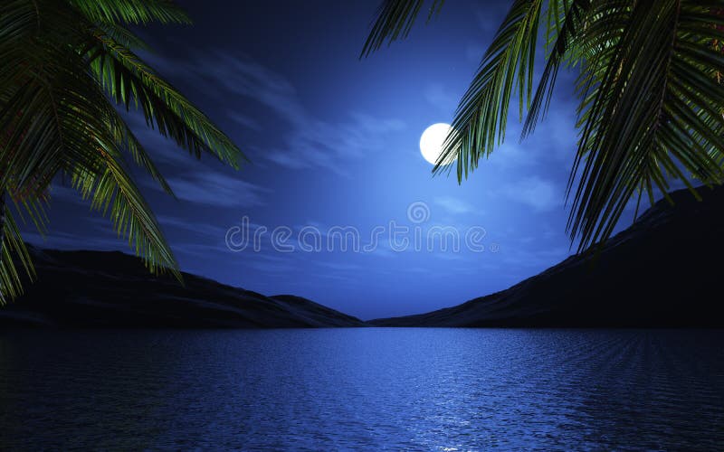 3D palm trees at moonlight stock illustration. Illustration of ...