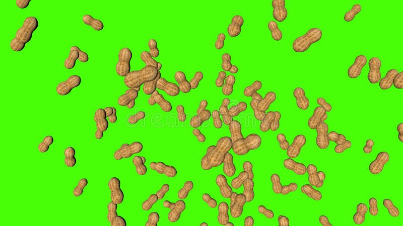 3D Peanuts Falling Animation on Green Screen Chroma Key Background ...