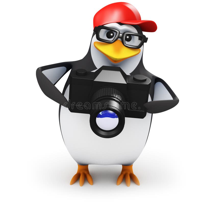 3d Penguin Takes a Photograph Stock Illustration - Illustration of ...