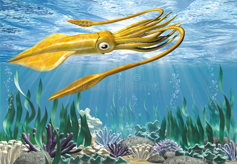 Pijlinktvis vector illustratie. Illustration of aquatisch - 33140537