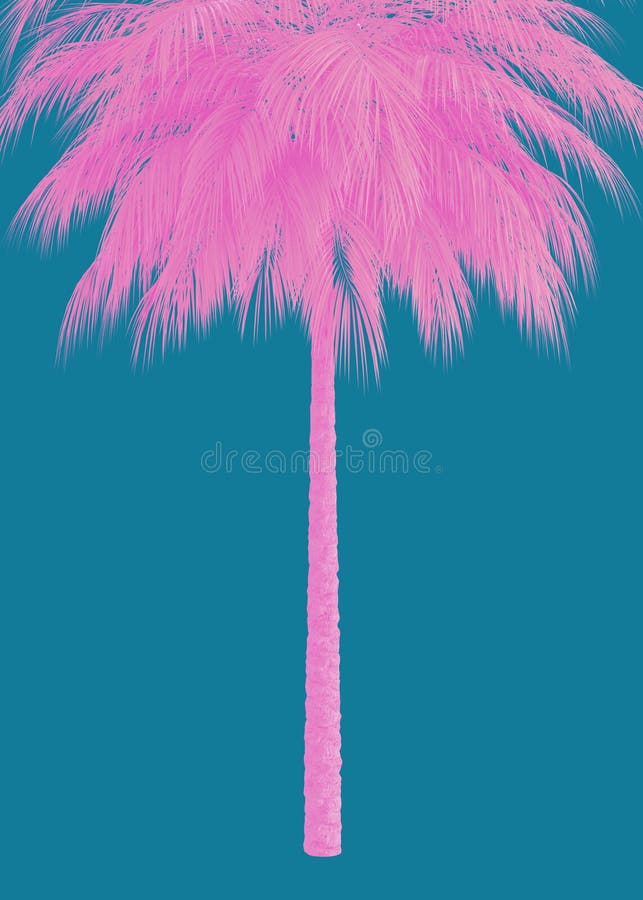 3d Pink Palm Tree Stock Illustrations – 1,959 3d Pink Palm Tree Stock ...